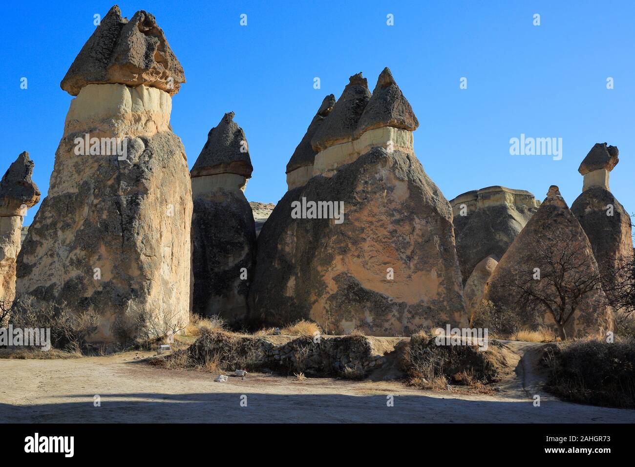 The magnificent Cappadocia valley with its rocky structure formed by ...