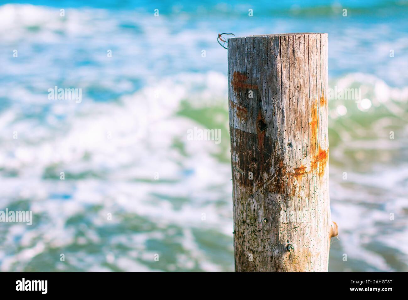 Timber in marine environment hi-res stock photography and images - Alamy
