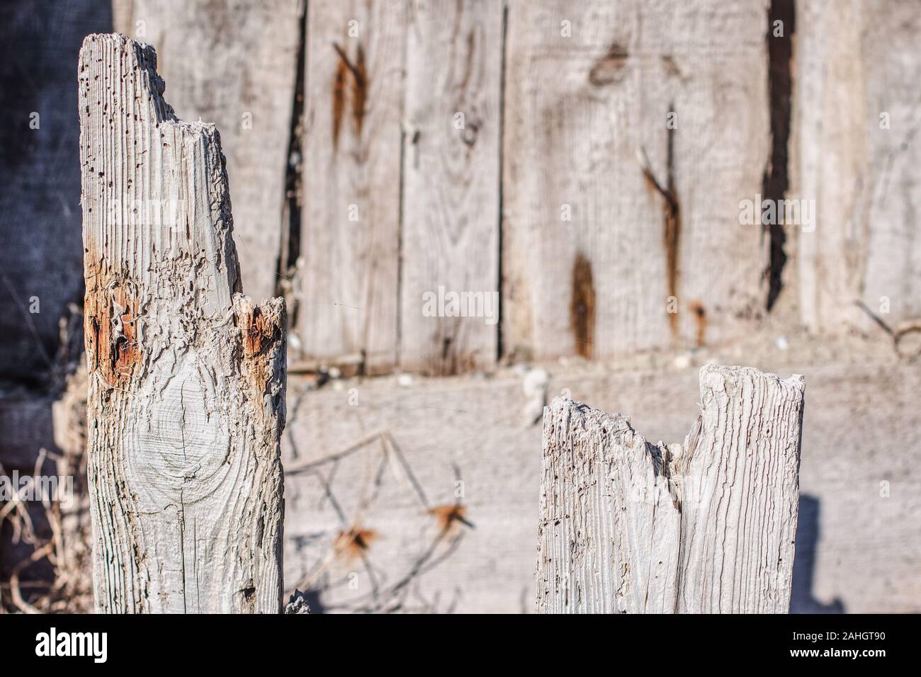 details of old rotten wooden logs Stock Photo - Alamy