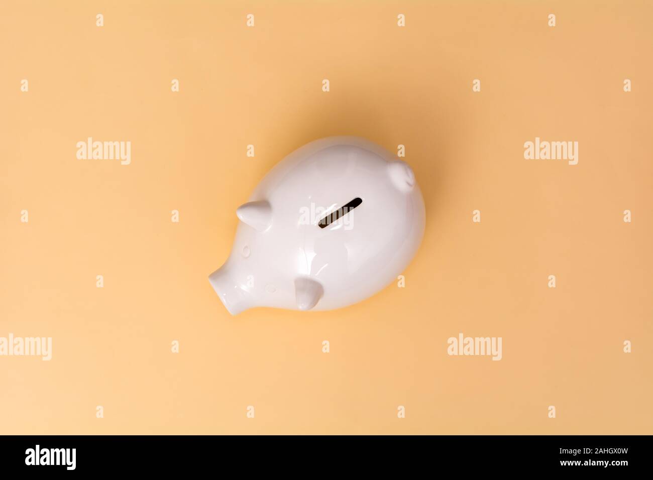 Beige pig hi-res stock photography and images - Alamy