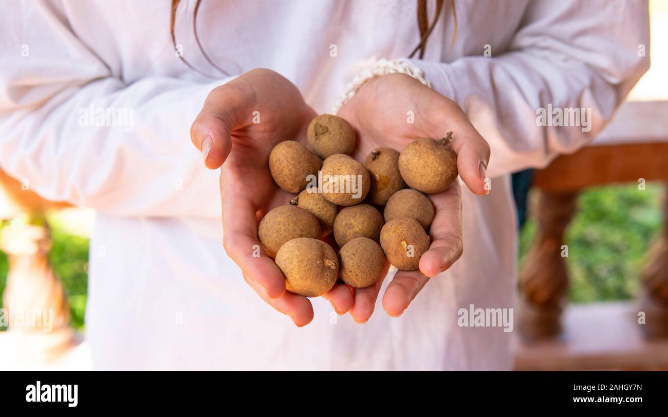 Longan is an unusual tropical fruit of Asia. Dragon eye fruit, - lam ...
