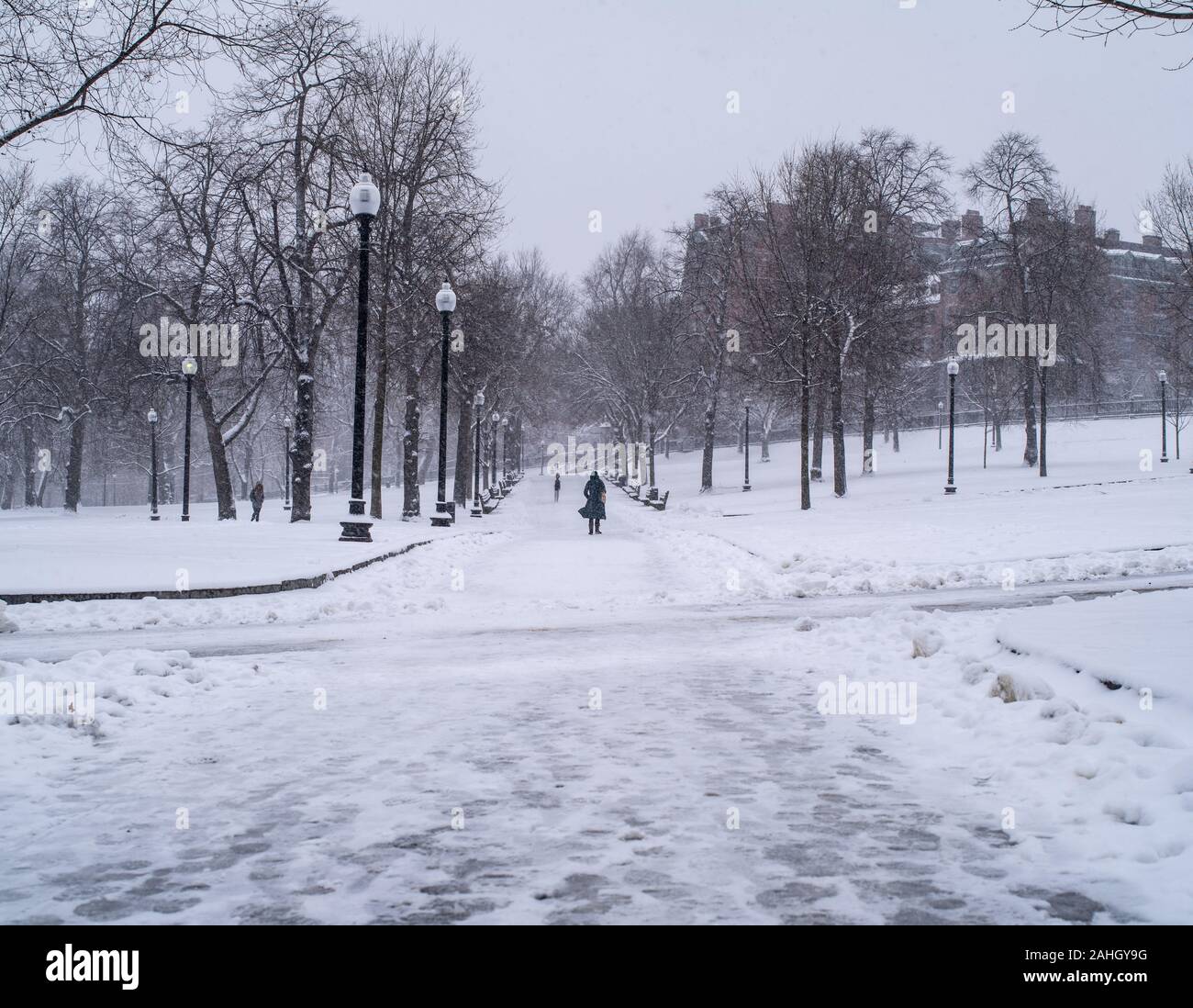 Boston common winter hi-res stock photography and images - Alamy
