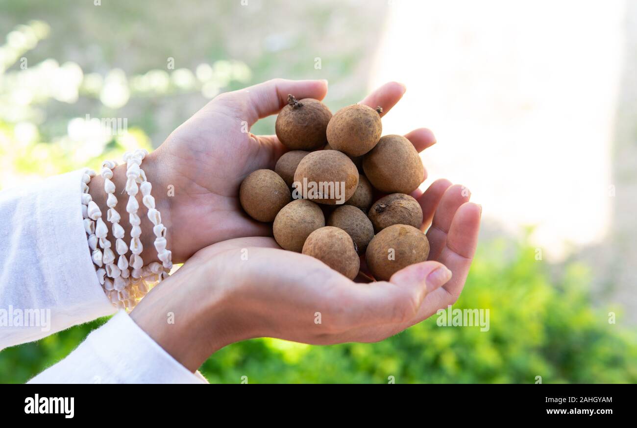 Dragon Eye Fruit High Resolution Stock Photography and Images - Alamy