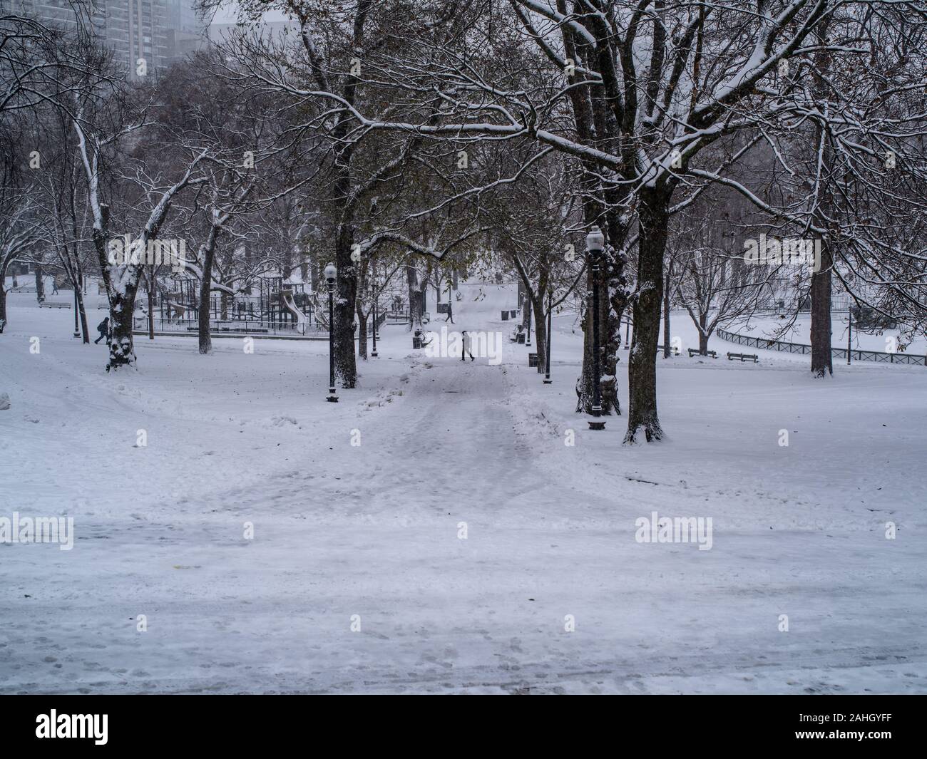 Path across common hi-res stock photography and images - Alamy