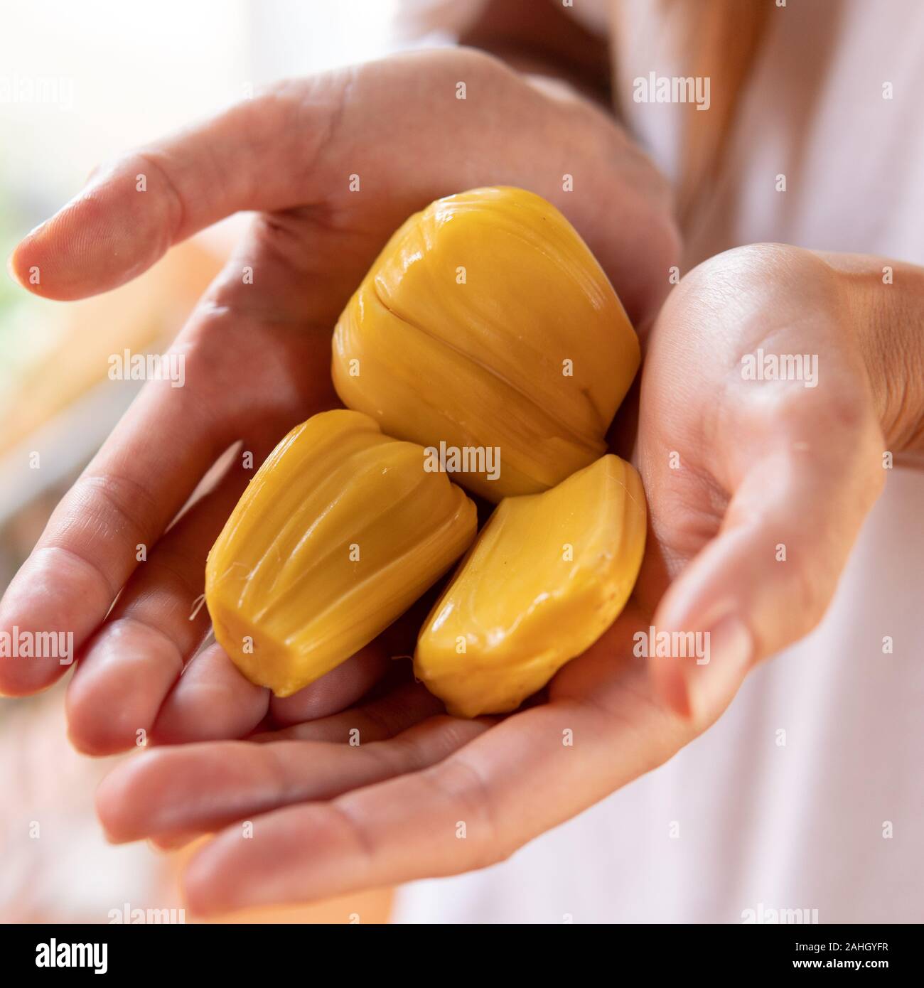 peeled fruits jack fruit in a female hand. Tropical Fruit - Jack Fruit ...