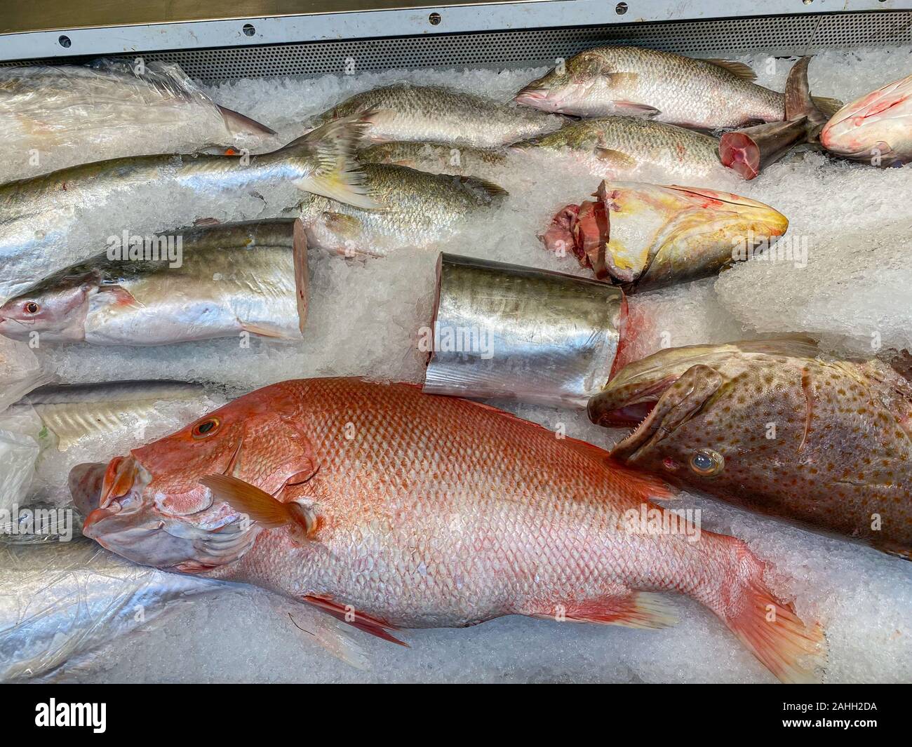Frozen carp fish on ice for sale at seafood market Stock Photo - Alamy