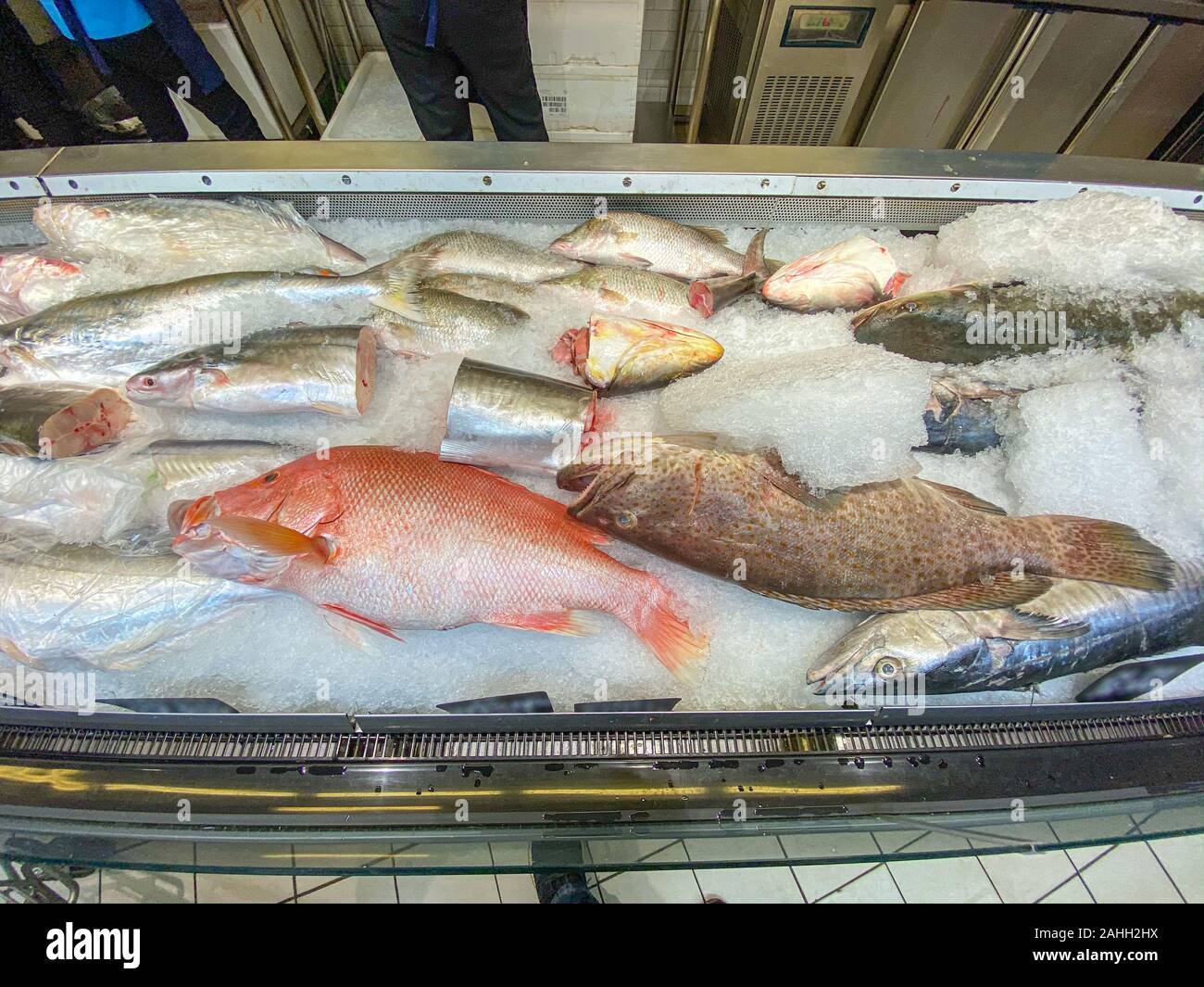 Assorted fresh fish on ice for sale at seafood marketplace Stock Photo ...