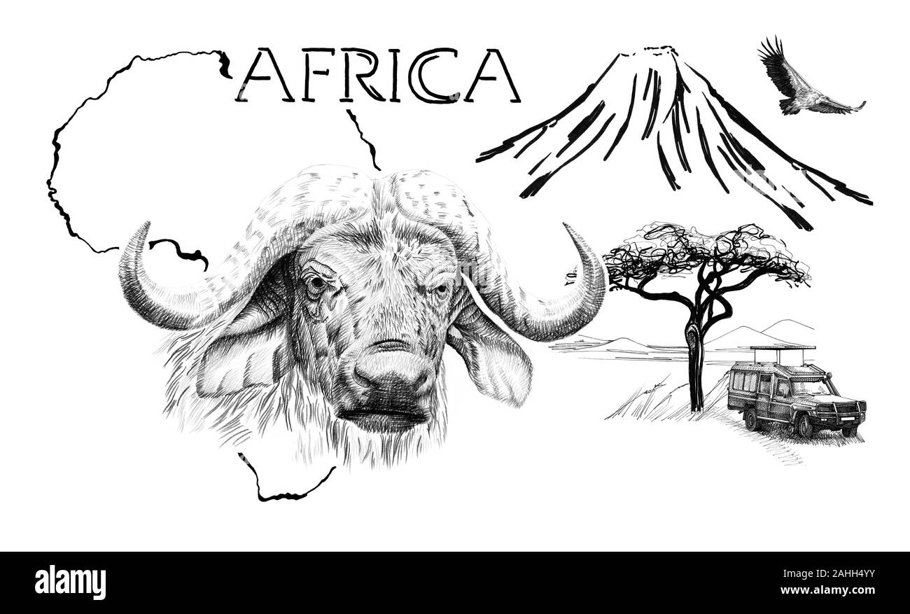 Buffalo portrait on Africa map background with Kilimanjaro mountain ...