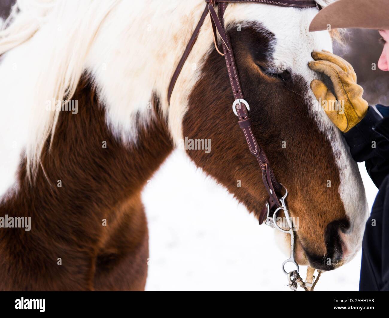 Calming hand hi-res stock photography and images - Alamy