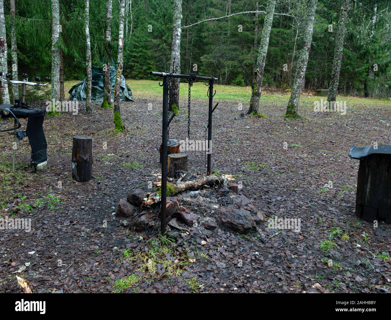 landscape with water tourist rest, birch by the river, picnic area ...