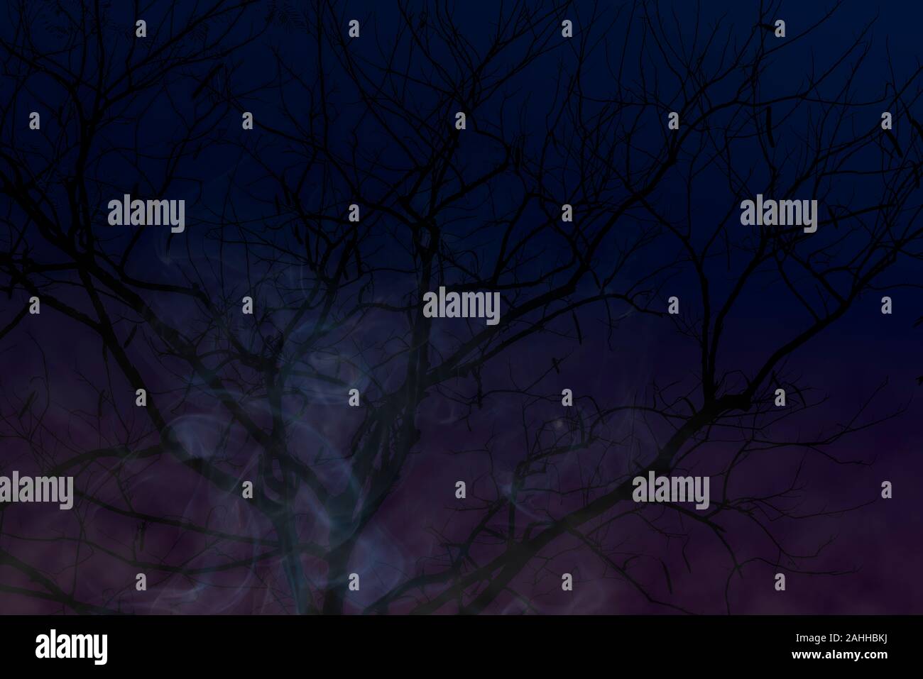 Spooky tree bark hi-res stock photography and images - Alamy