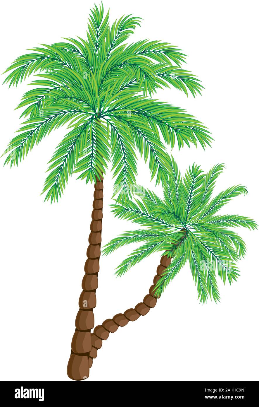 Two colorful palm trees illustration on white background Stock Vector ...