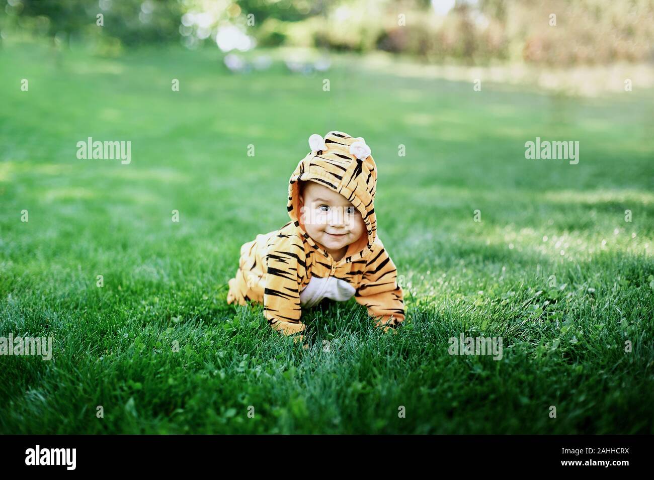 Cute baby boy wearing a tiger costume sitting in grass at park Stock ...