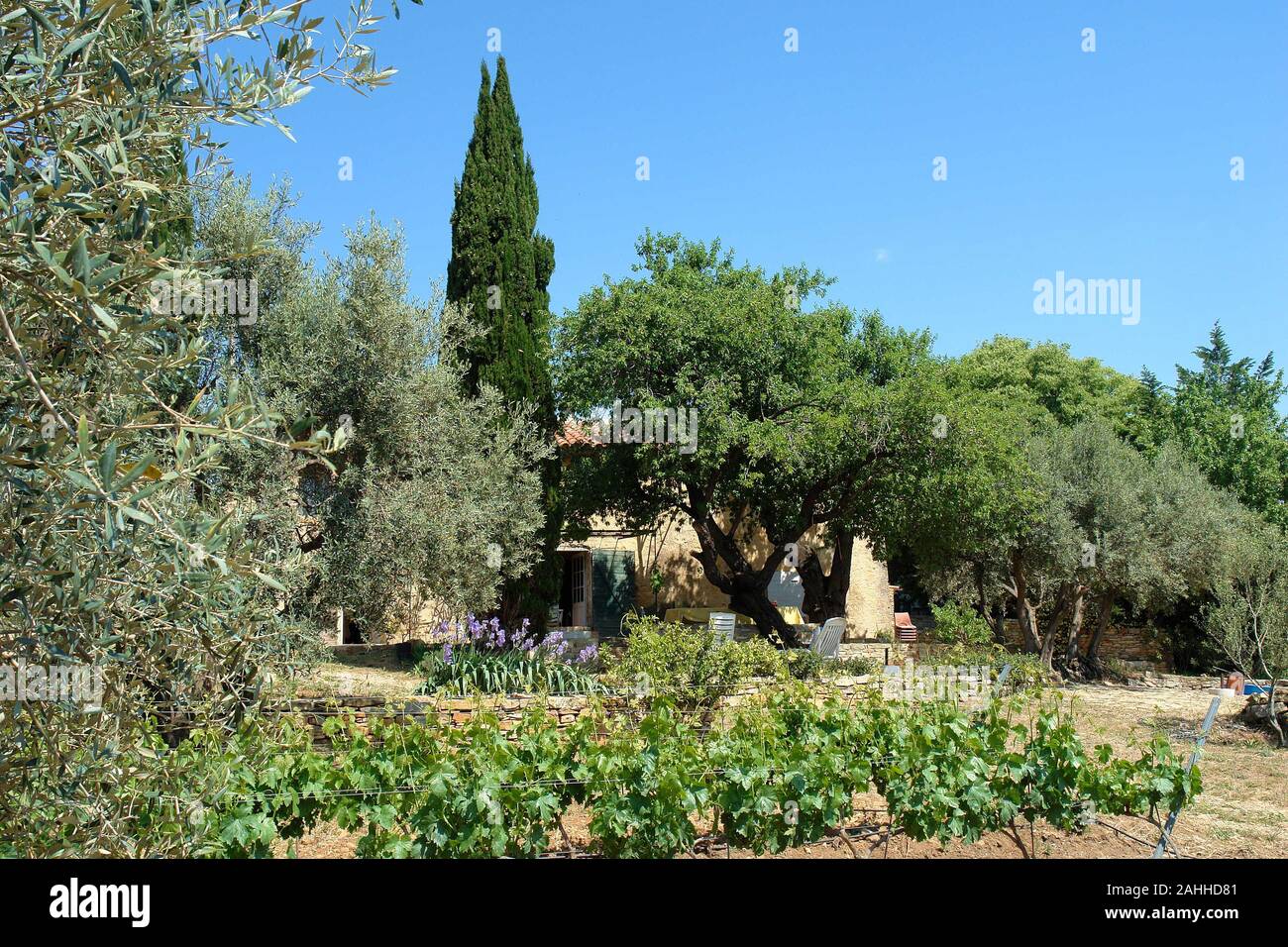 Old Provence farmhouse Stock Photo - Alamy