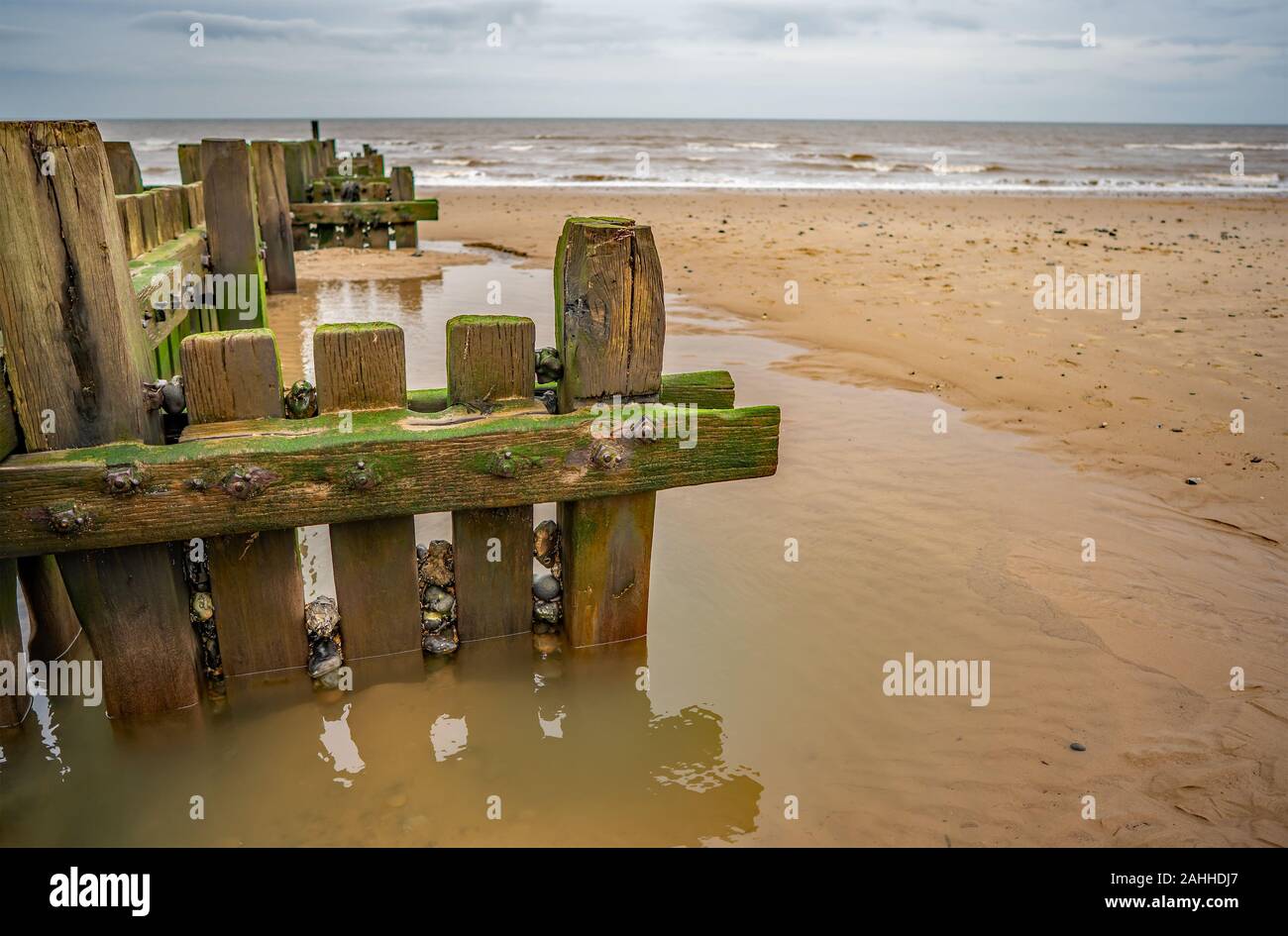 Close up of the wooden sea defences at low tide on a sandy beach on the ...