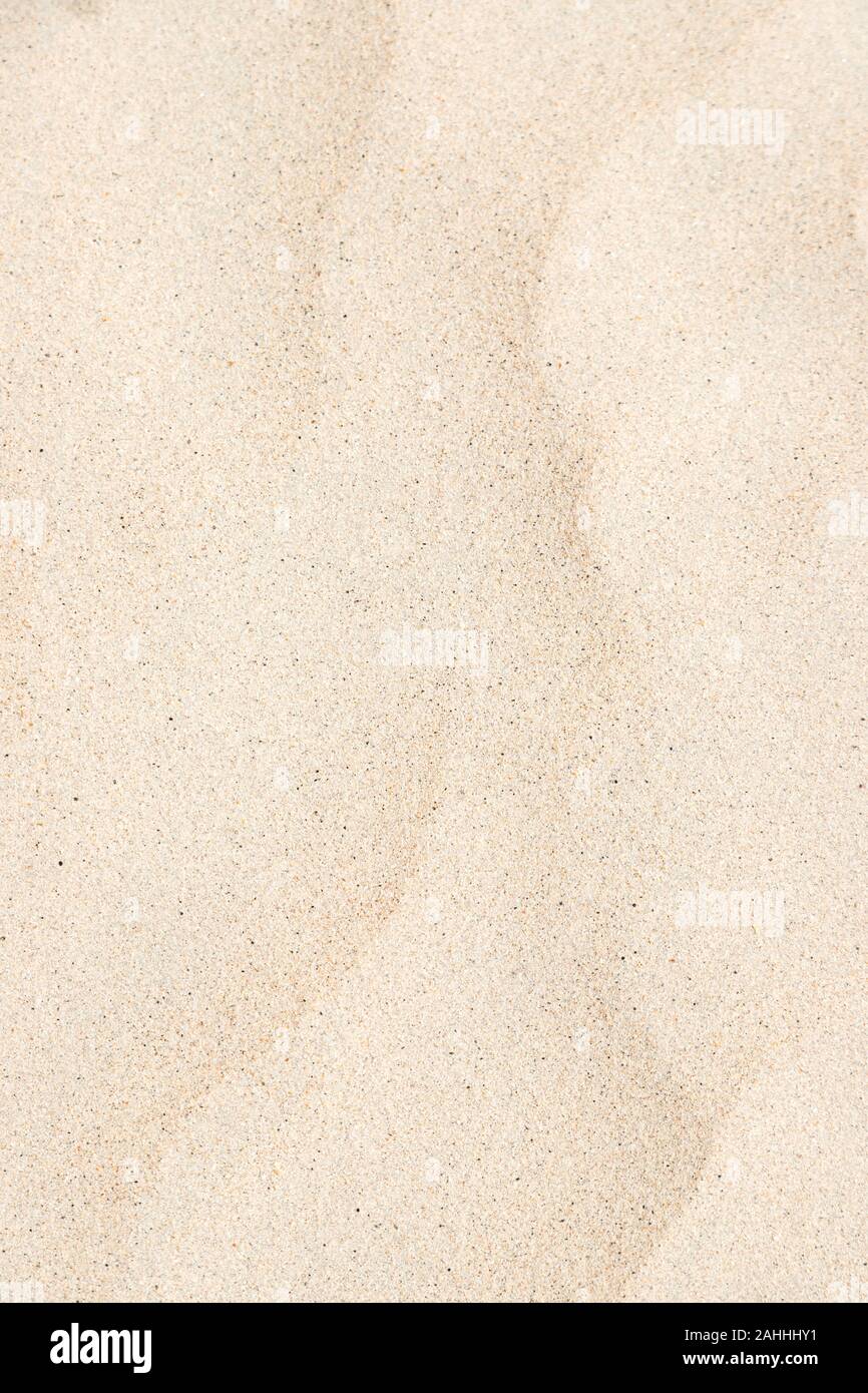 Soft white sand on the beach for texture background, have some small ...