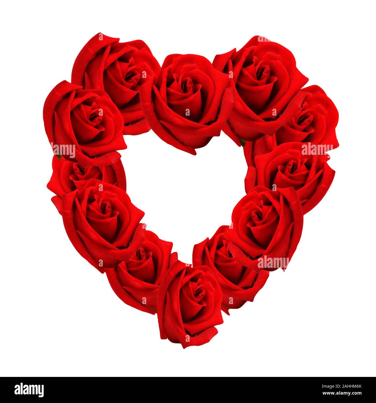 crown of heart-shaped red roses isolated on white backgroundin square ...