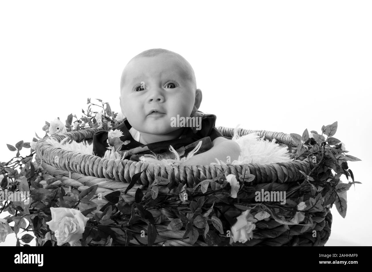 Baby newborn infant Black and White Stock Photos & Images - Alamy