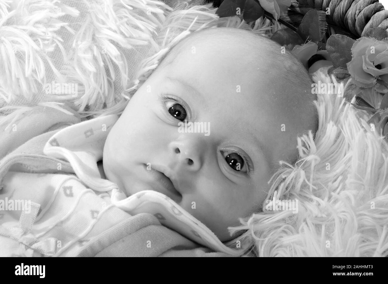 Infant, New Baby Stock Photo - Alamy