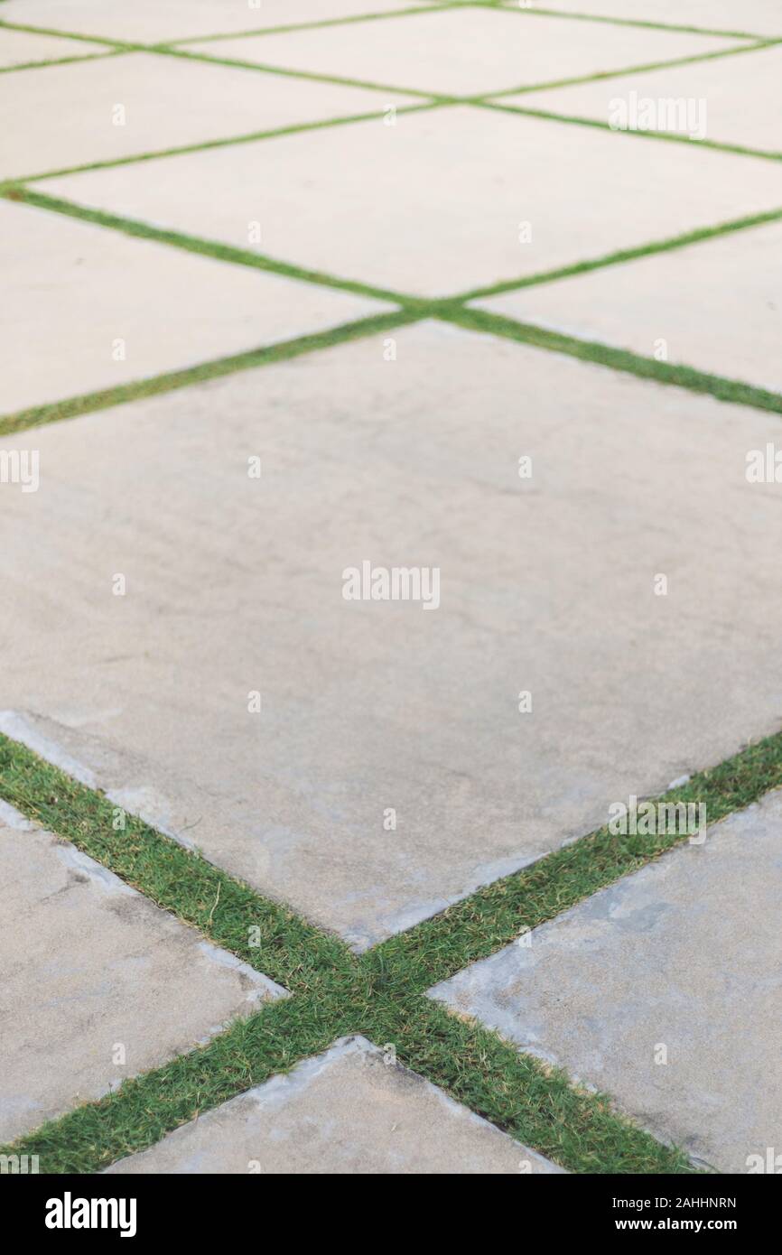 cement floor with grass make square table on there in vertical Stock ...