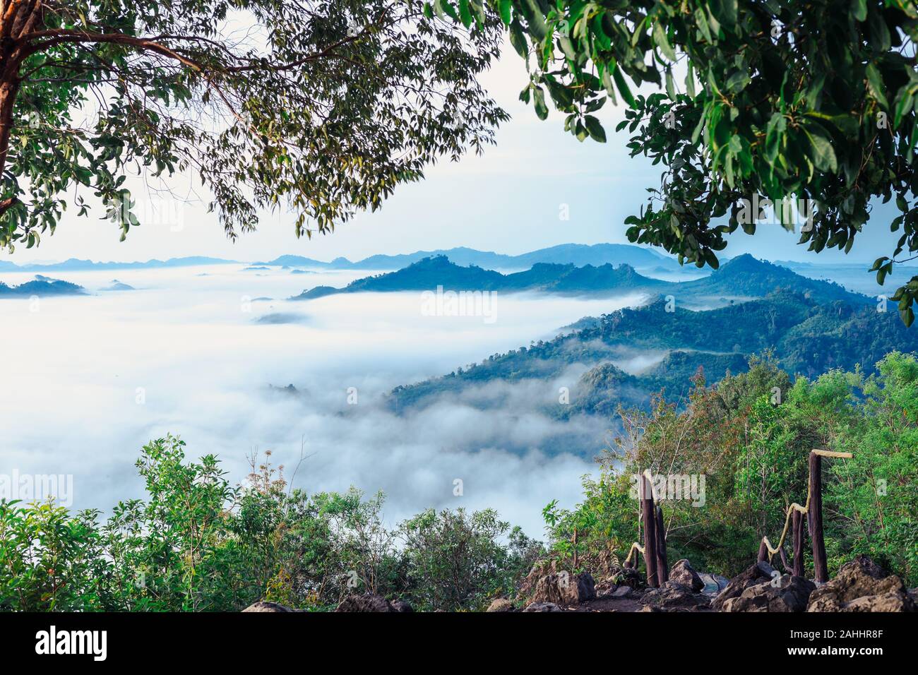 Hill view of ocean fog inside frame of nature rock and tree Stock Photo ...