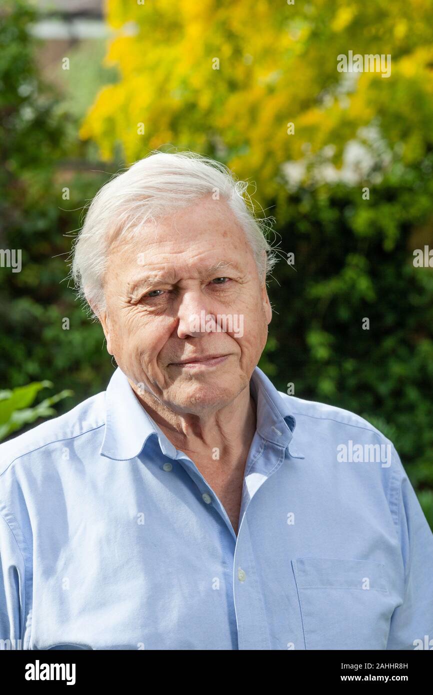 English broadcaster and naturalist hi-res stock photography and images ...