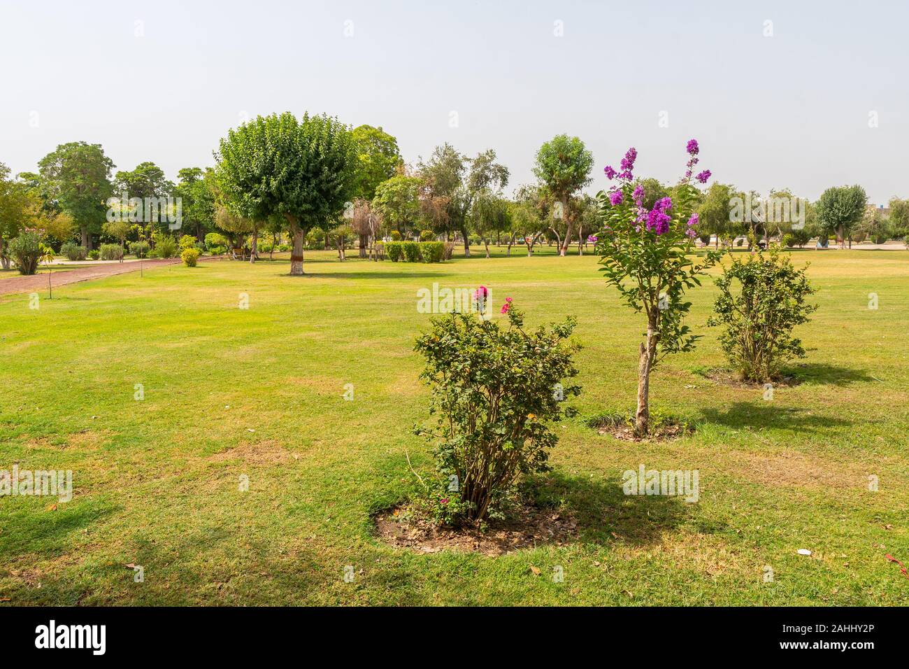 Multan Shah Shams Park Picturesque View of Clipped Hedges Trees and ...