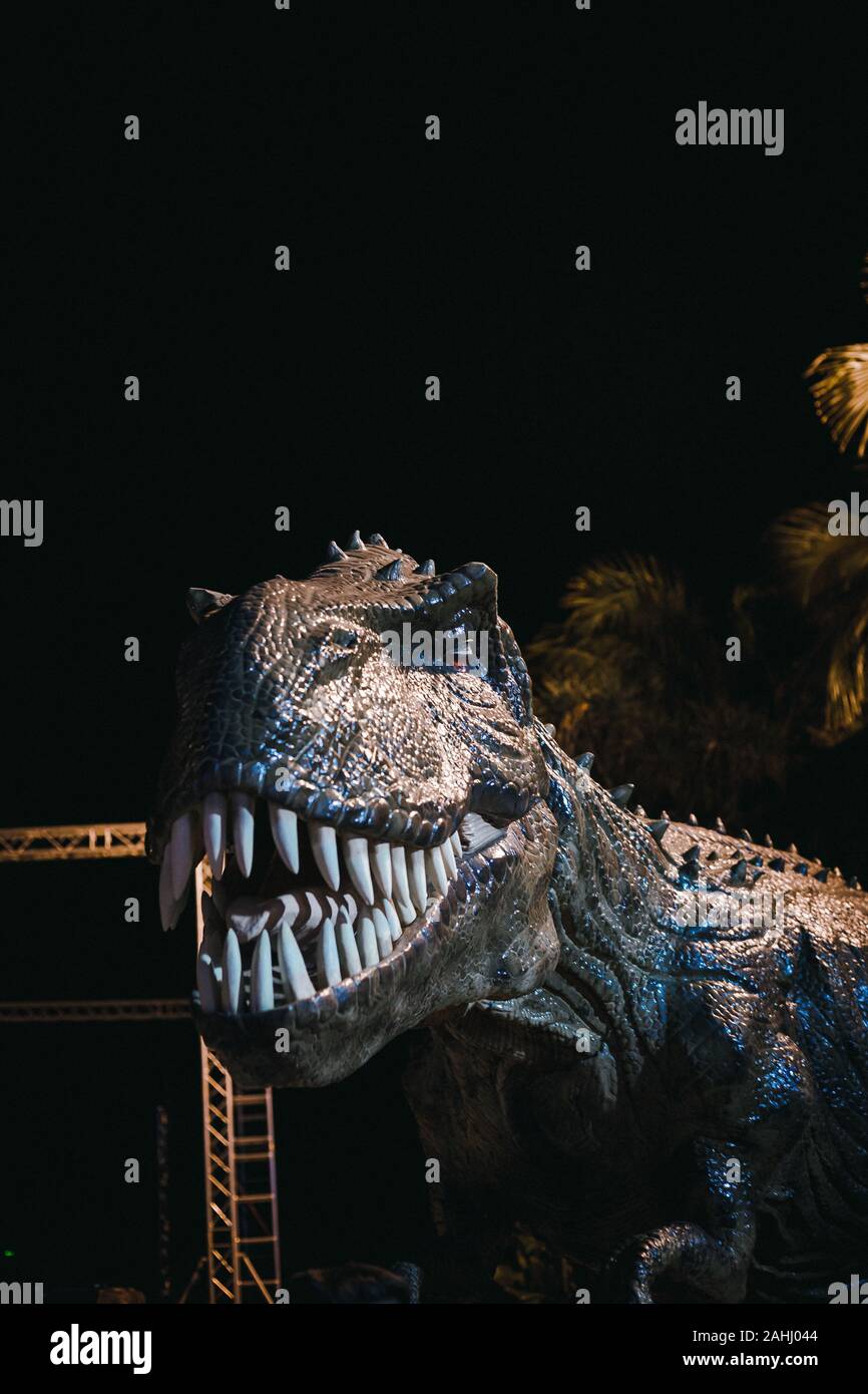 Tyrannosaurus Rex new type turning face, low contrast Stock Photo - Alamy