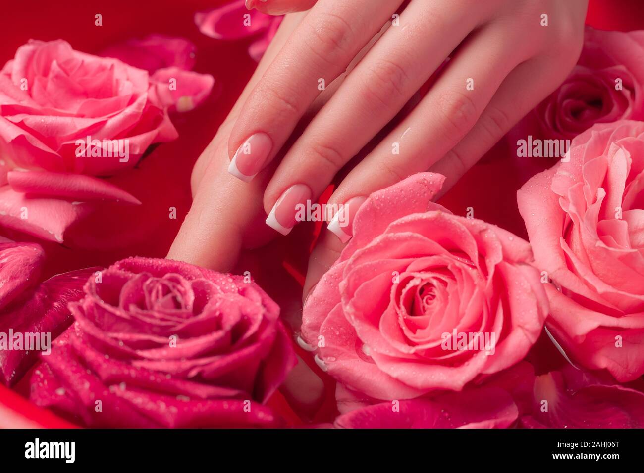 Spa Salon: Beautiful Female Hands with French Manicure in the Bowl of ...