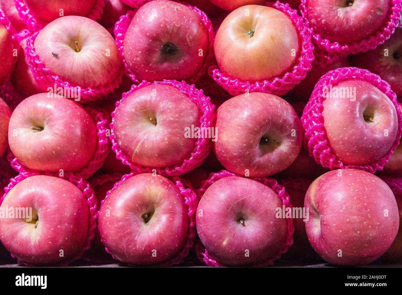 Red apple pile put together cover with pink fruit net looking from the ...