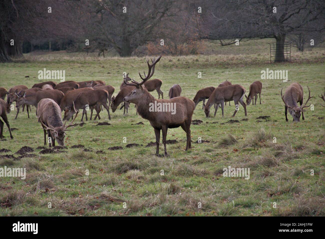 Fountains Abbey & Studley Royal Stock Photo - Alamy