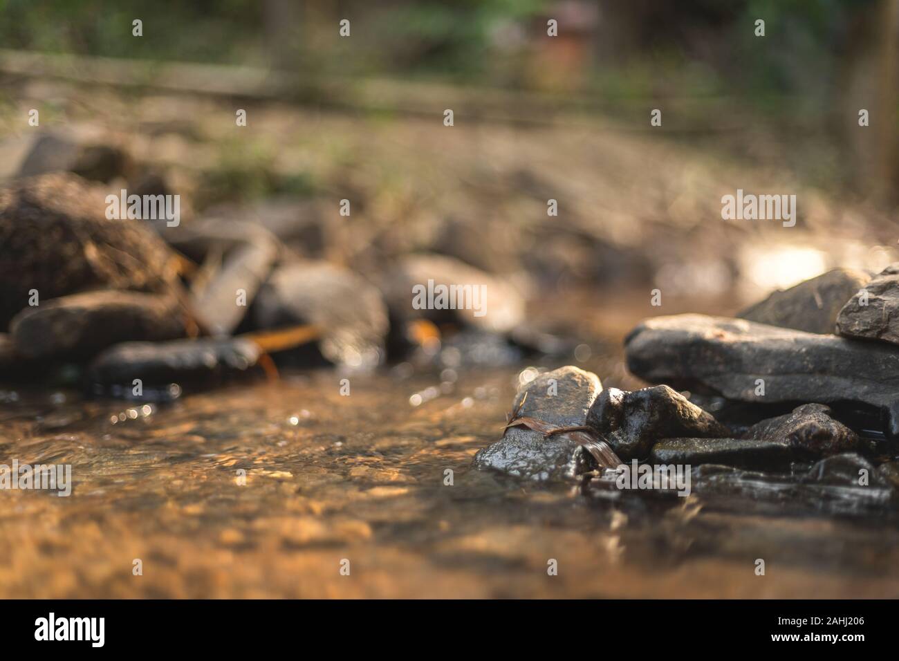Stone weir in forest hi-res stock photography and images - Alamy