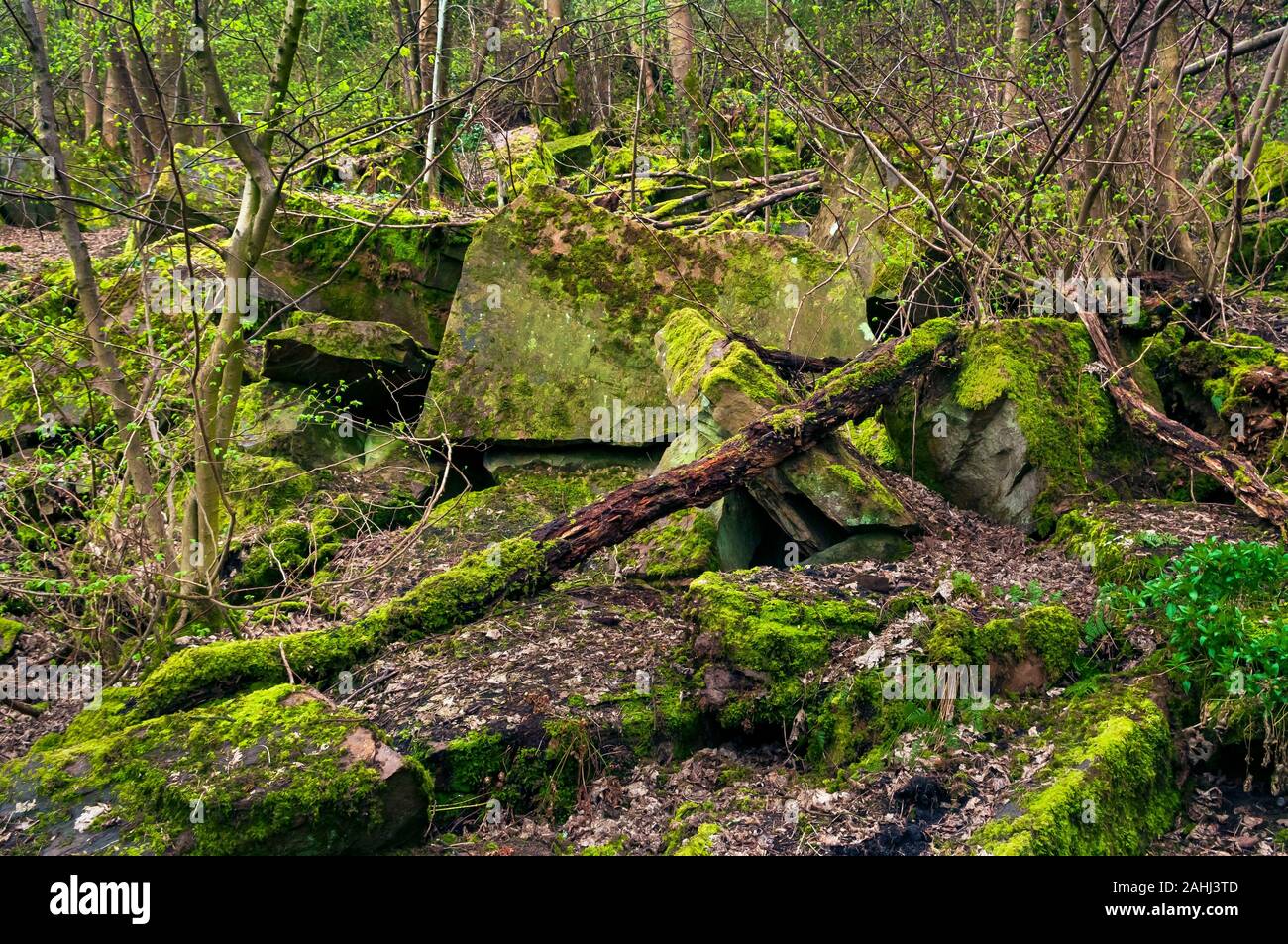 Deepcar hi-res stock photography and images - Alamy