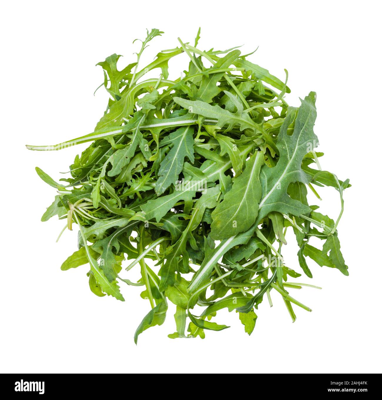 top view of pile from fresh leaves of Arugula (rocket, eruca, rucola ...