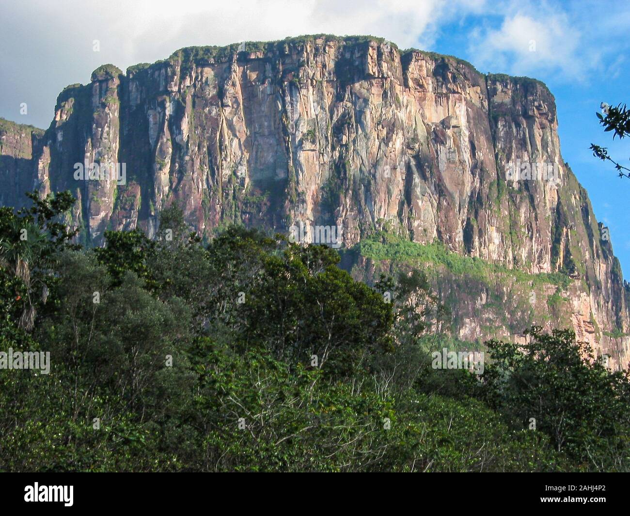 Impressive tepuy, table-top mountain, in Canaima National Park ...