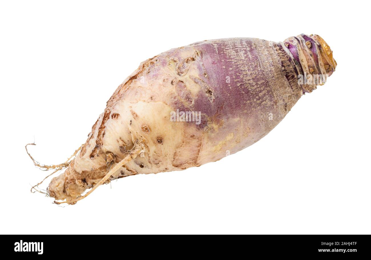 fresh rutabaga root isolated on white background Stock Photo - Alamy