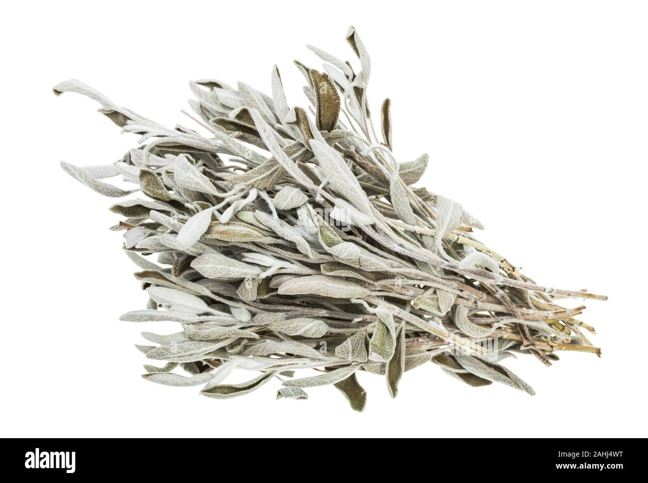bundle of dried sage (salvia officinalis) herb isolated on white background Stock Photo - Alamy