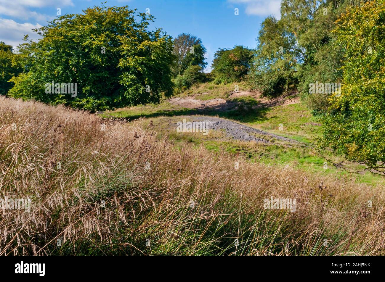 Shale spoil heap at the old colliery site at Barber Fields, Ringinglow ...