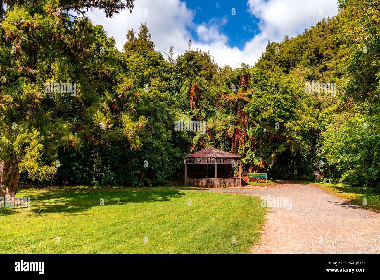 Raukuri bushwalk hi-res stock photography and images - Alamy