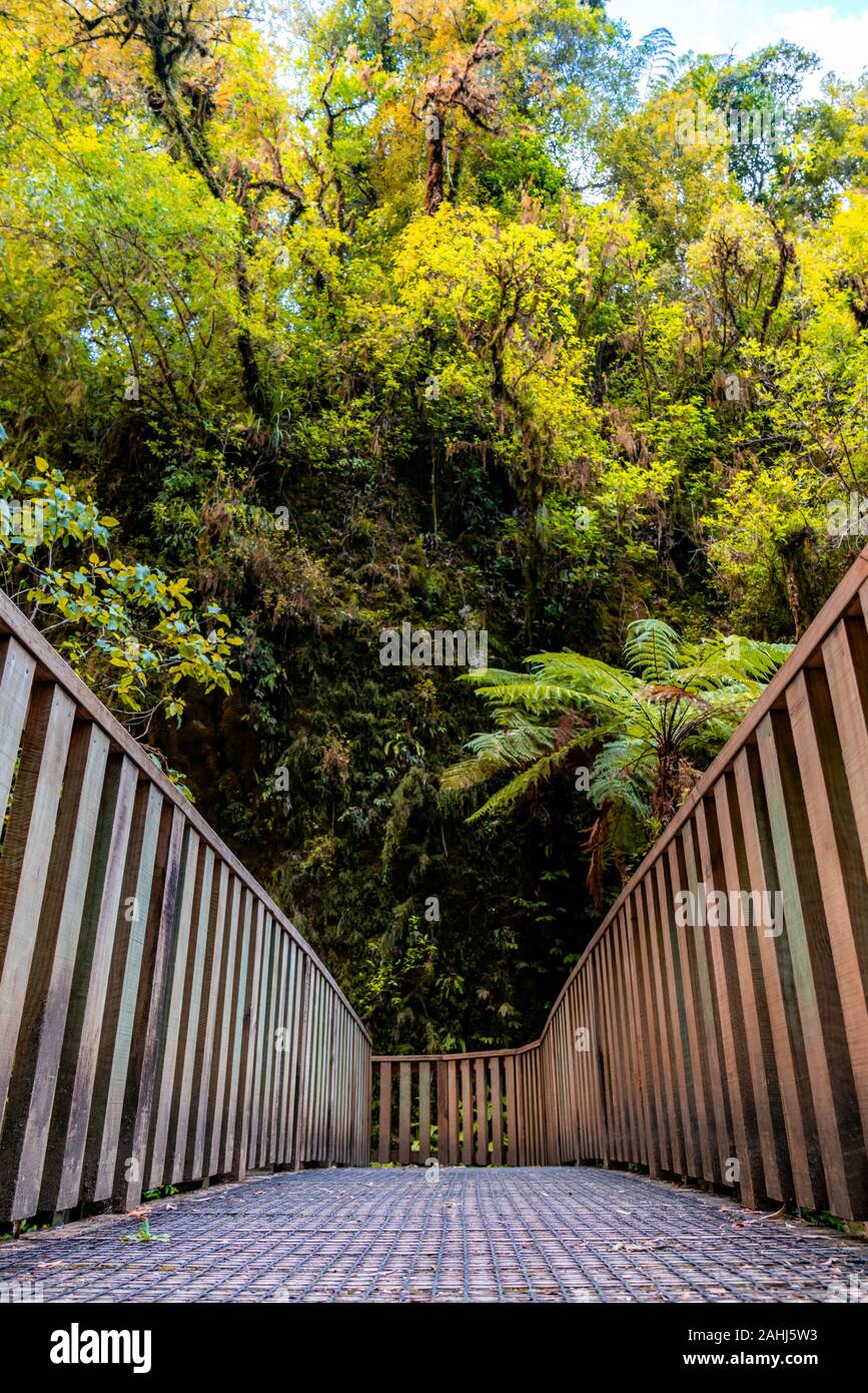 Raukuri bushwalk hi-res stock photography and images - Alamy