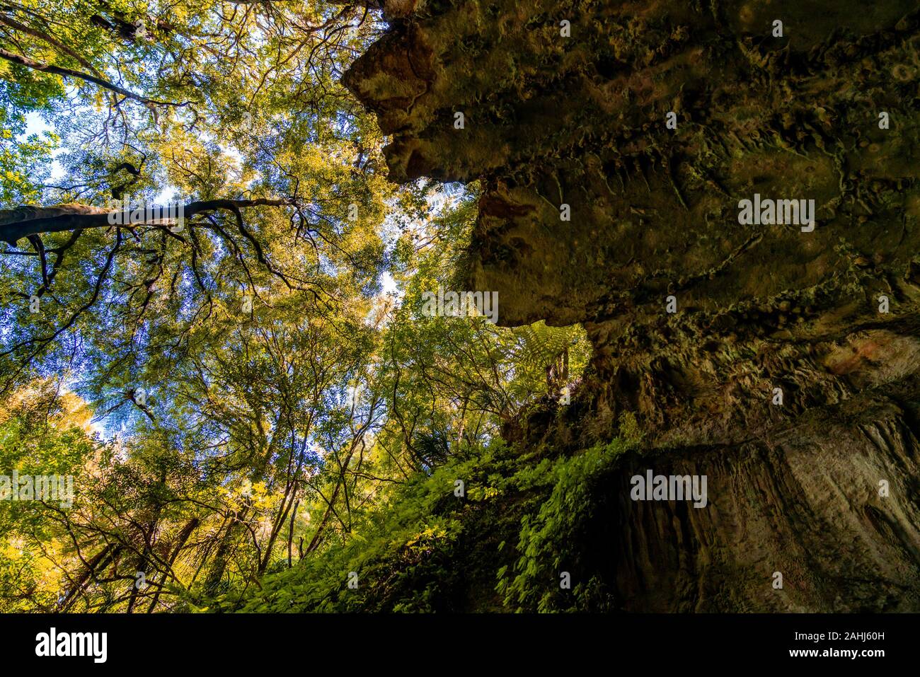 Mangapohue Natural Bridge, Waitomo, Waikato, New Zealand Stock Photo ...