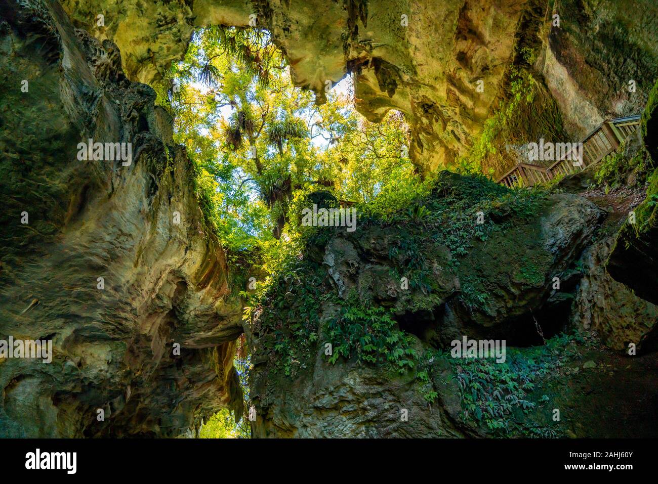 Mangapohue Natural Bridge, Waitomo, Waikato, New Zealand Stock Photo ...