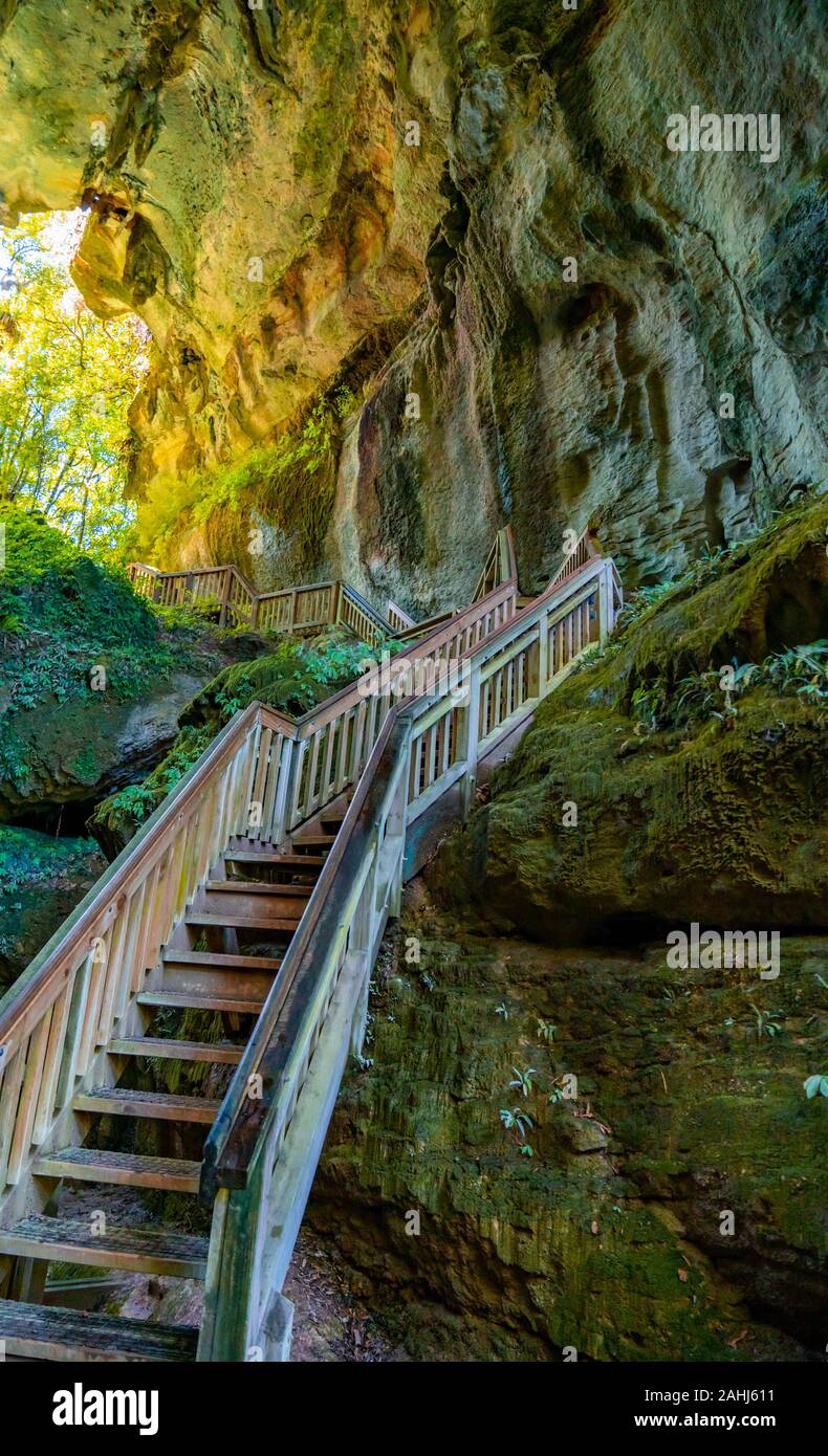 Mangapohue Natural Bridge, Waitomo, Waikato, New Zealand Stock Photo ...