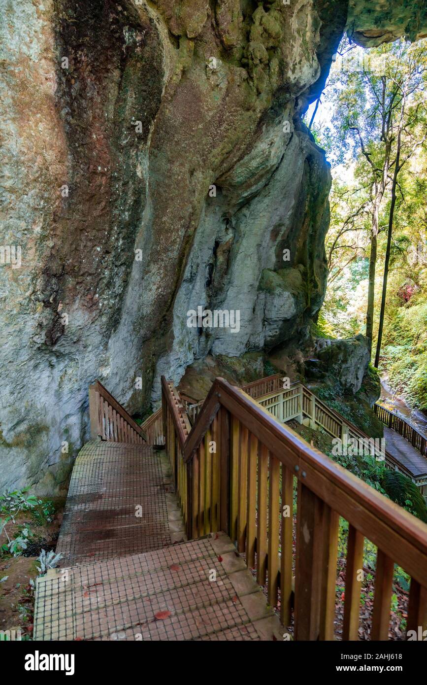Mangapohue Natural Bridge, Waitomo, Waikato, New Zealand Stock Photo ...