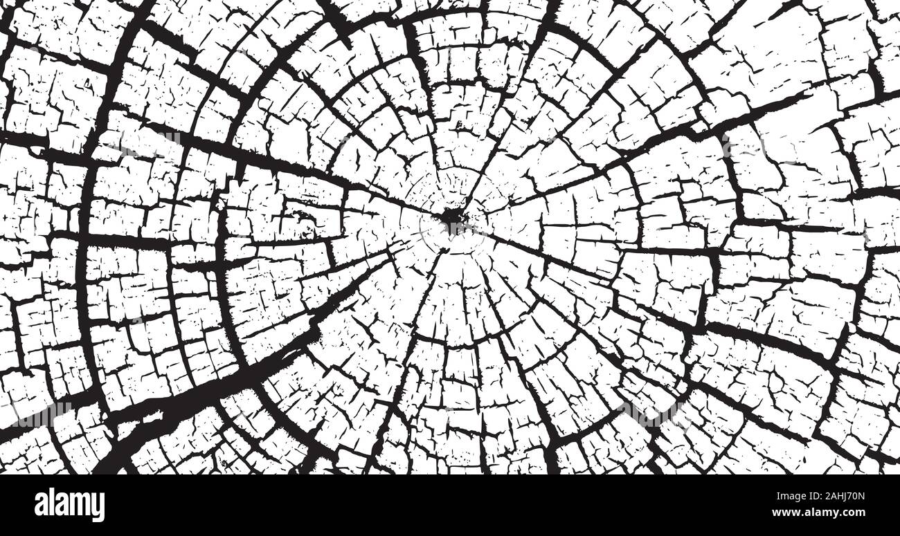 Tree stump illustration hi-res stock photography and images - Alamy