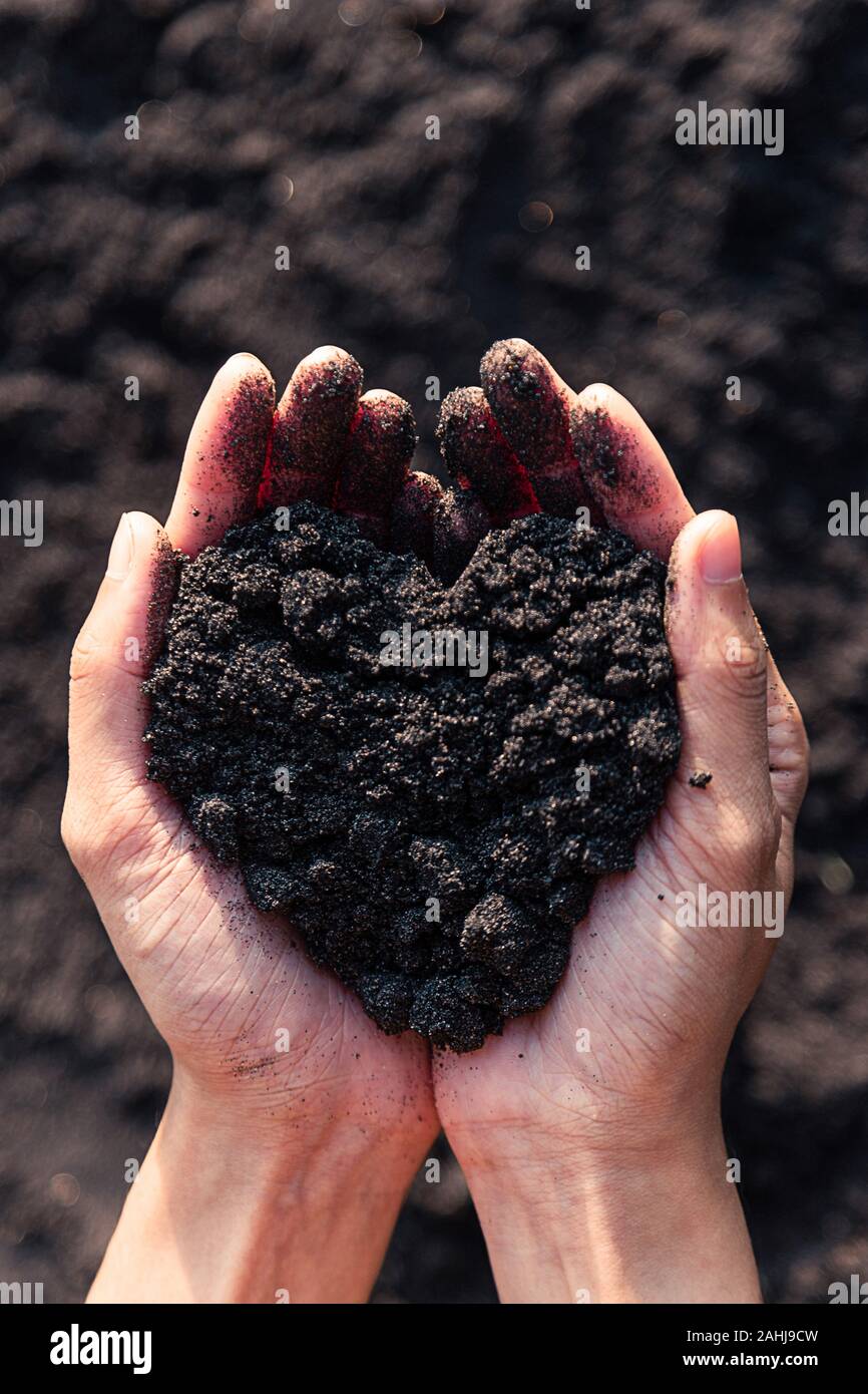 Wave planting hi-res stock photography and images - Alamy