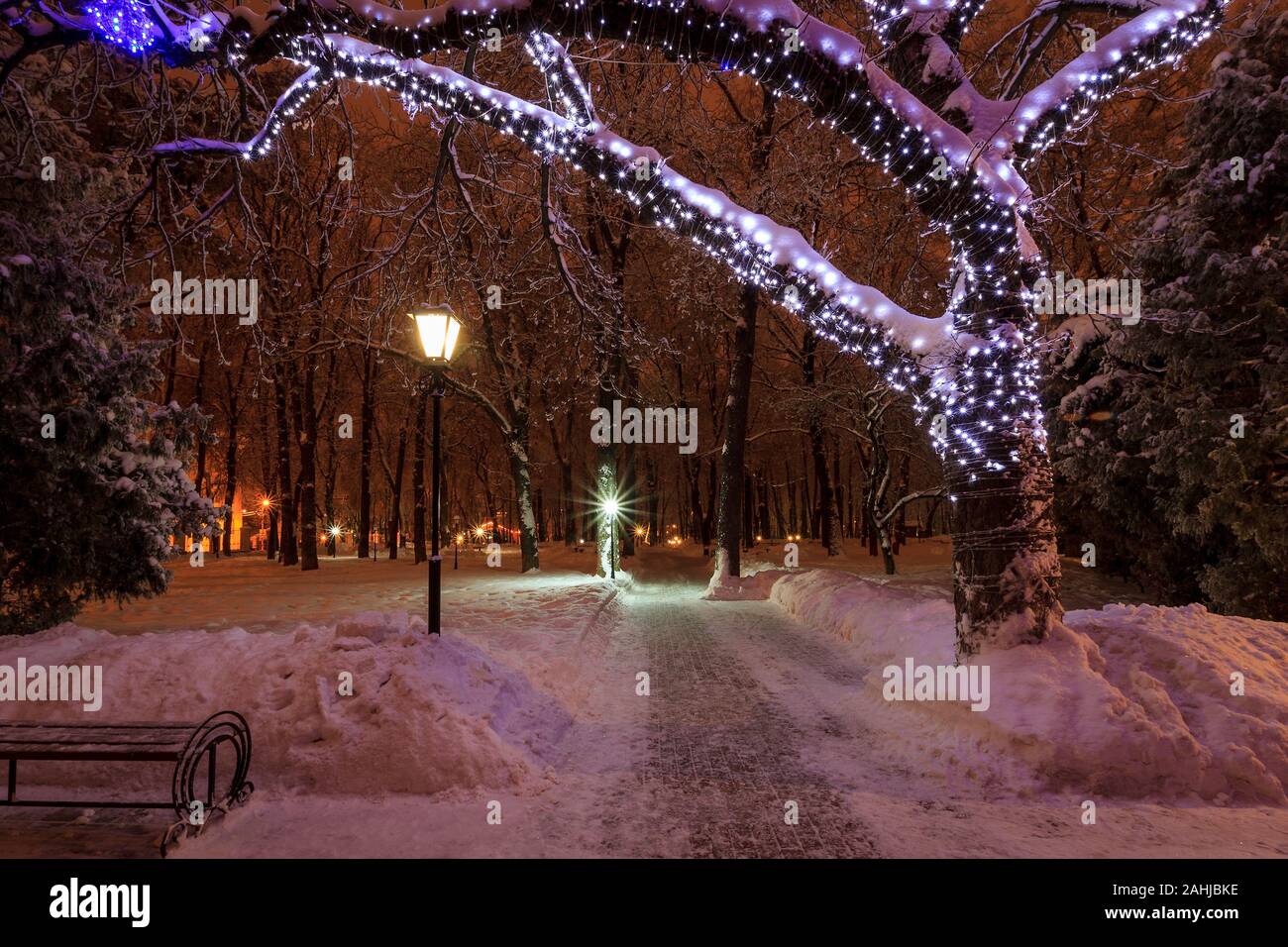 Winter park at night with decorations, lights, benches and trees Stock ...
