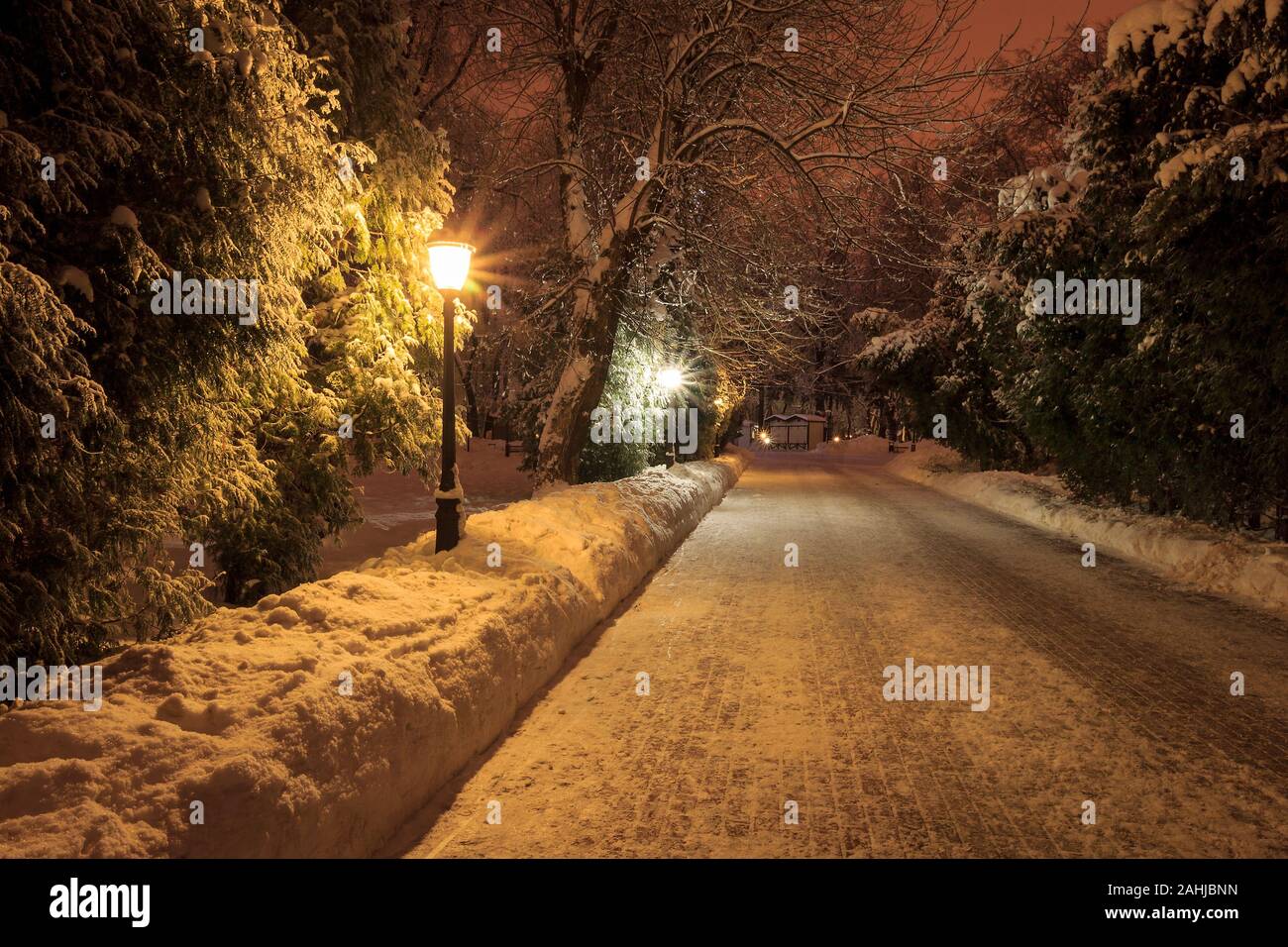 Winter park at night with decorations, lights, benches and trees Stock ...