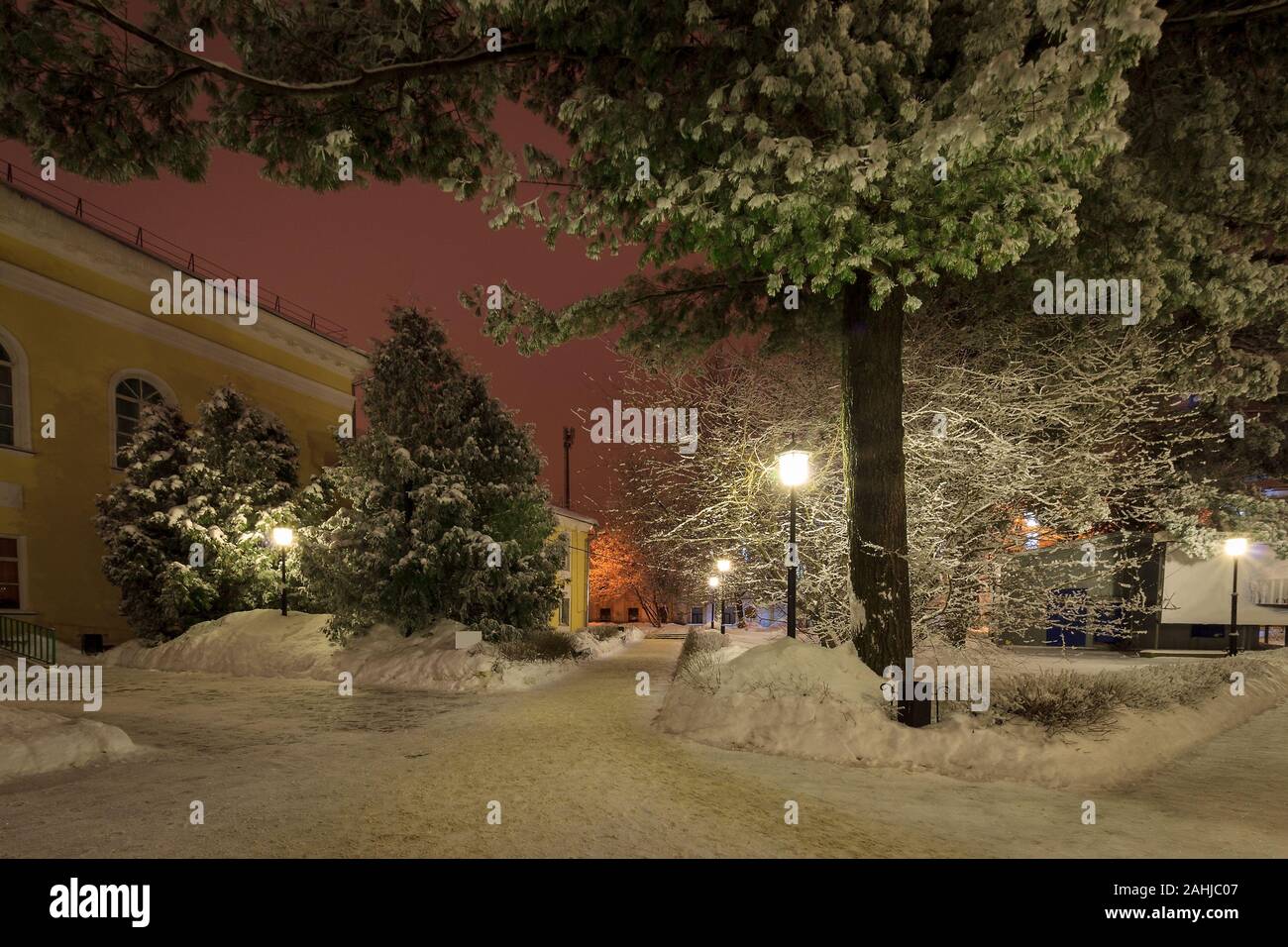 Winter park at night with decorations, lights, benches and trees Stock ...