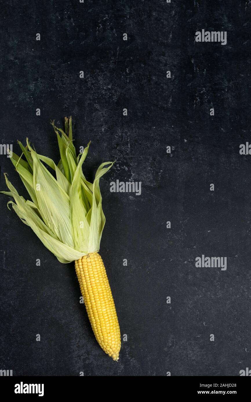 Single Fresh ripe maize corn, on dark background with cpy space, top ...